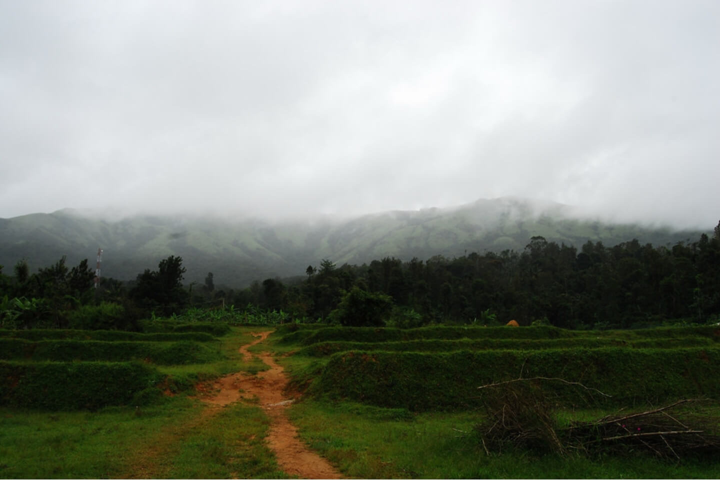 Brahmagiri Hills Wayanad (Timings, History, Entry Fee, Images ...