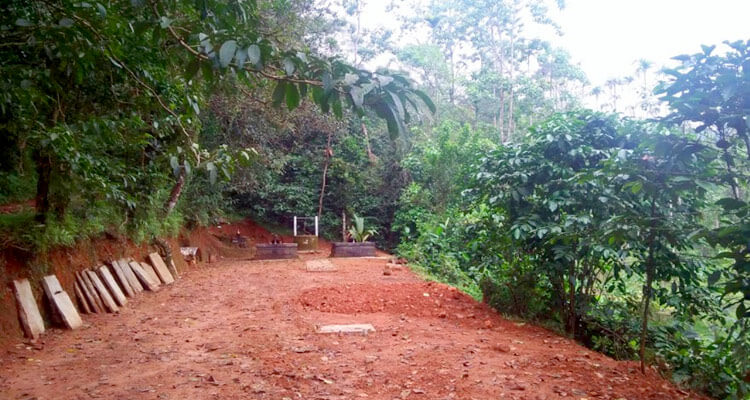 Chain Tree Wayanad (Timings, History, Entry Fee, Images & Information ...