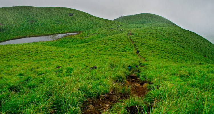 Chembra Peak Wayanad (Timings, History, Entry Fee, Images & Information ...