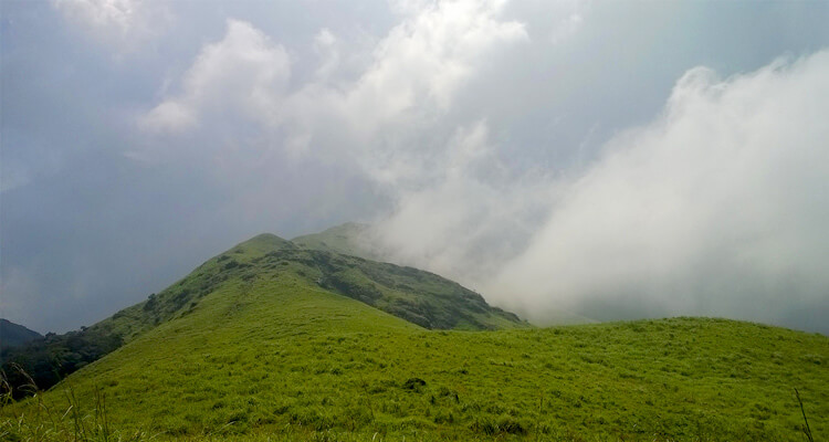 Chembra Peak Wayanad (Timings, History, Entry Fee, Images & Information ...