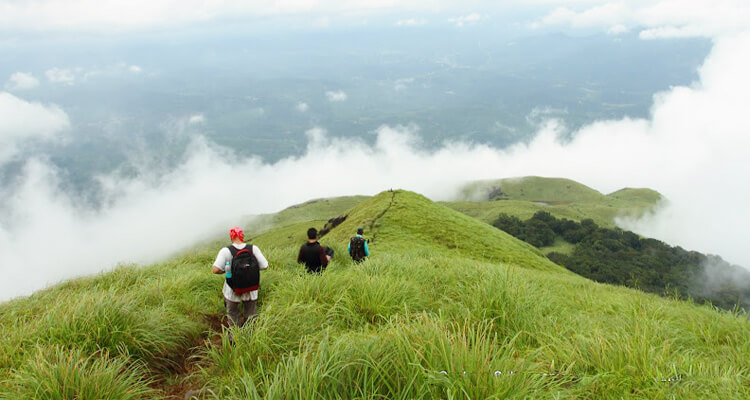 Chembra Peak Wayanad (Timings, History, Entry Fee, Images & Information ...