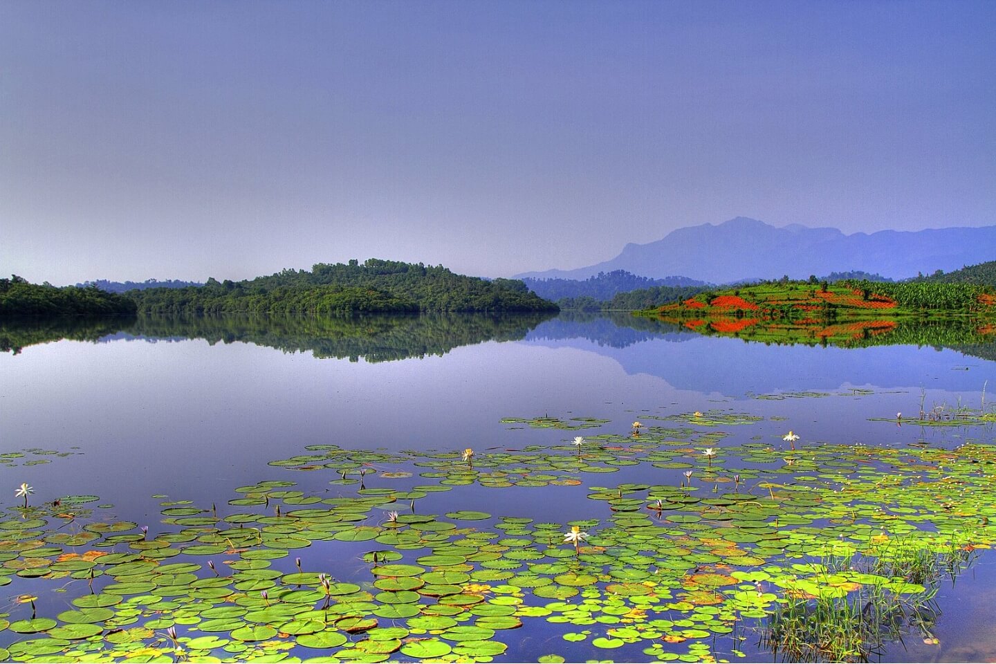 Karapuzha Dam Wayanad (Timings, History, Entry Fee, Images ...