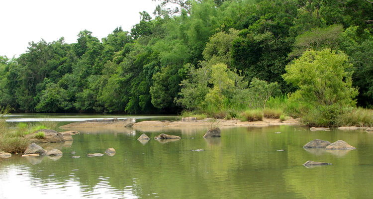 Kuruva Island Wayanad (Timings, History, Entry Fee, Images ...