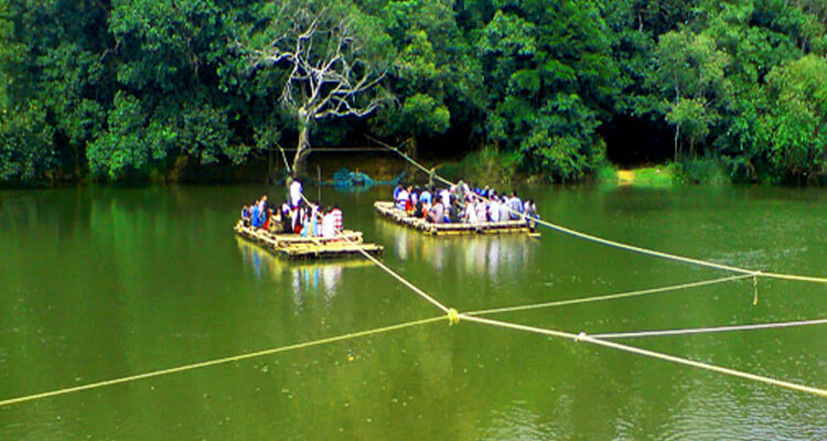 Kuruva Island Crocodile Kuruva Island Wayanad (Timings, History, Entry