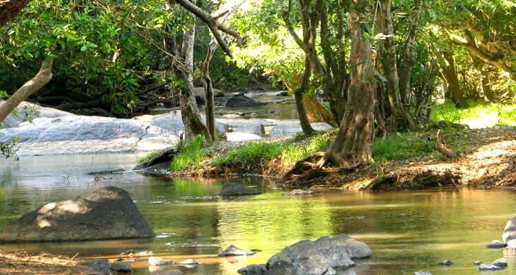 Kuruva Island Wayanad (Timings, History, Entry Fee, Images ...