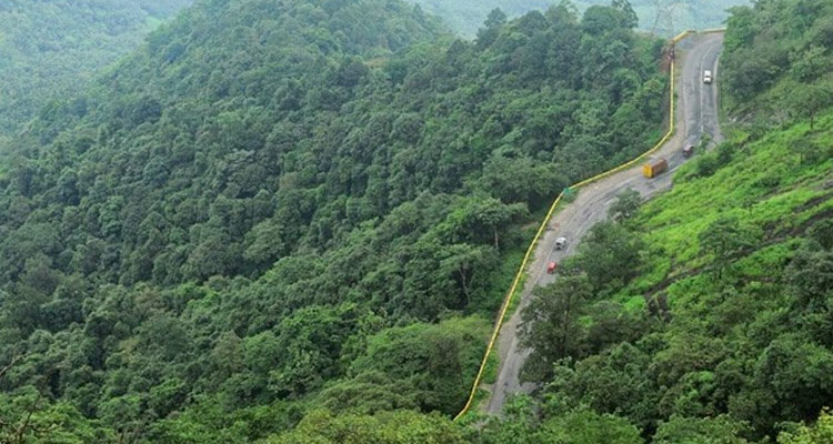 Lakkidi View Point Wayanad (Timings, History, Entry Fee, Images ...