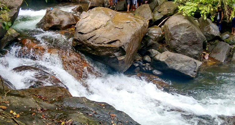 Meenmutty waterfalls Wayanad (Timings, History, Entry Fee, Images ...
