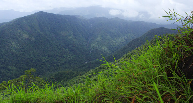 Neelimala View Point Wayanad (Timings, History, Entry Fee, Images ...