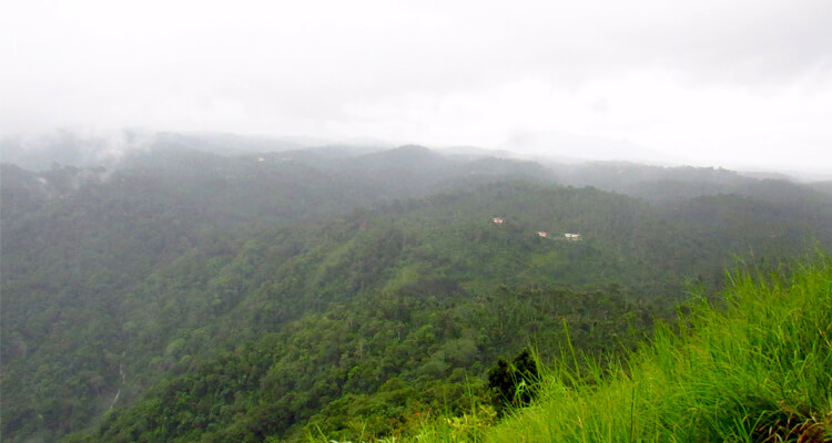 Neelimala View Point Wayanad (Timings, History, Entry Fee, Images ...