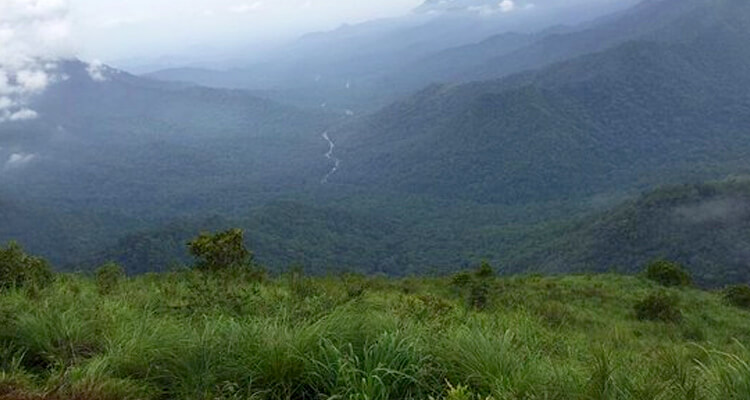 Neelimala View Point Wayanad (Timings, History, Entry Fee, Images ...