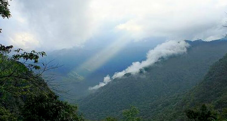 Neelimala View Point Wayanad (Timings, History, Entry Fee, Images ...