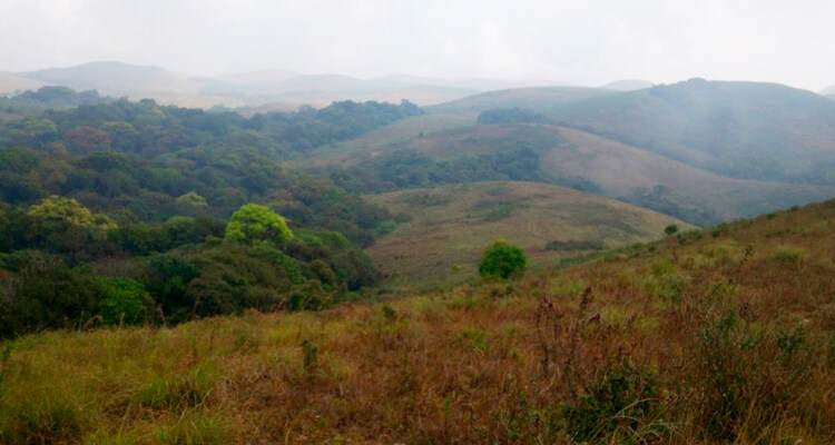 Pakshipathalam Bird Sanctuary Wayanad (Timings, History, Entry Fee ...