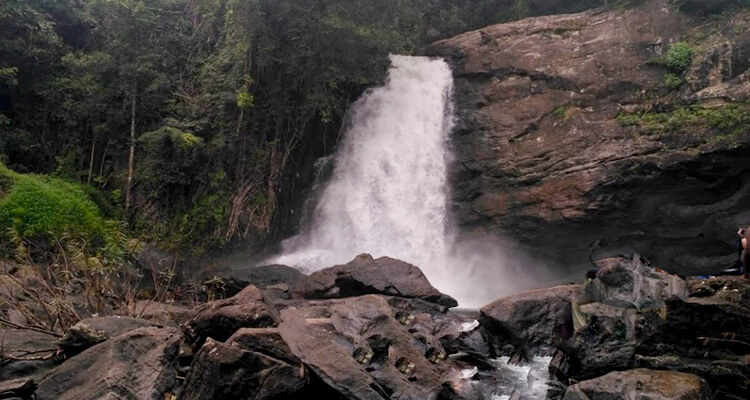 Soochipara Falls Wayanad (Timings, History, Entry Fee, Images ...