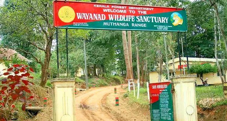 Wayanad Wildlife Sanctuary (Timings, History, Entry Fee, Images ...